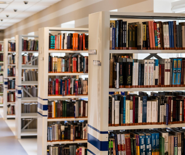Loving the Library - Beyond Boundaries Sarnia-Lambton